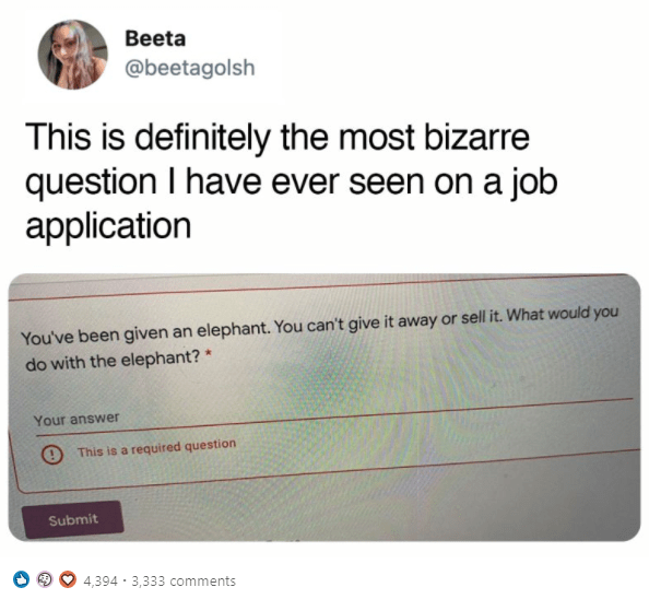 The LinkedIn Elephant - Value Transformation