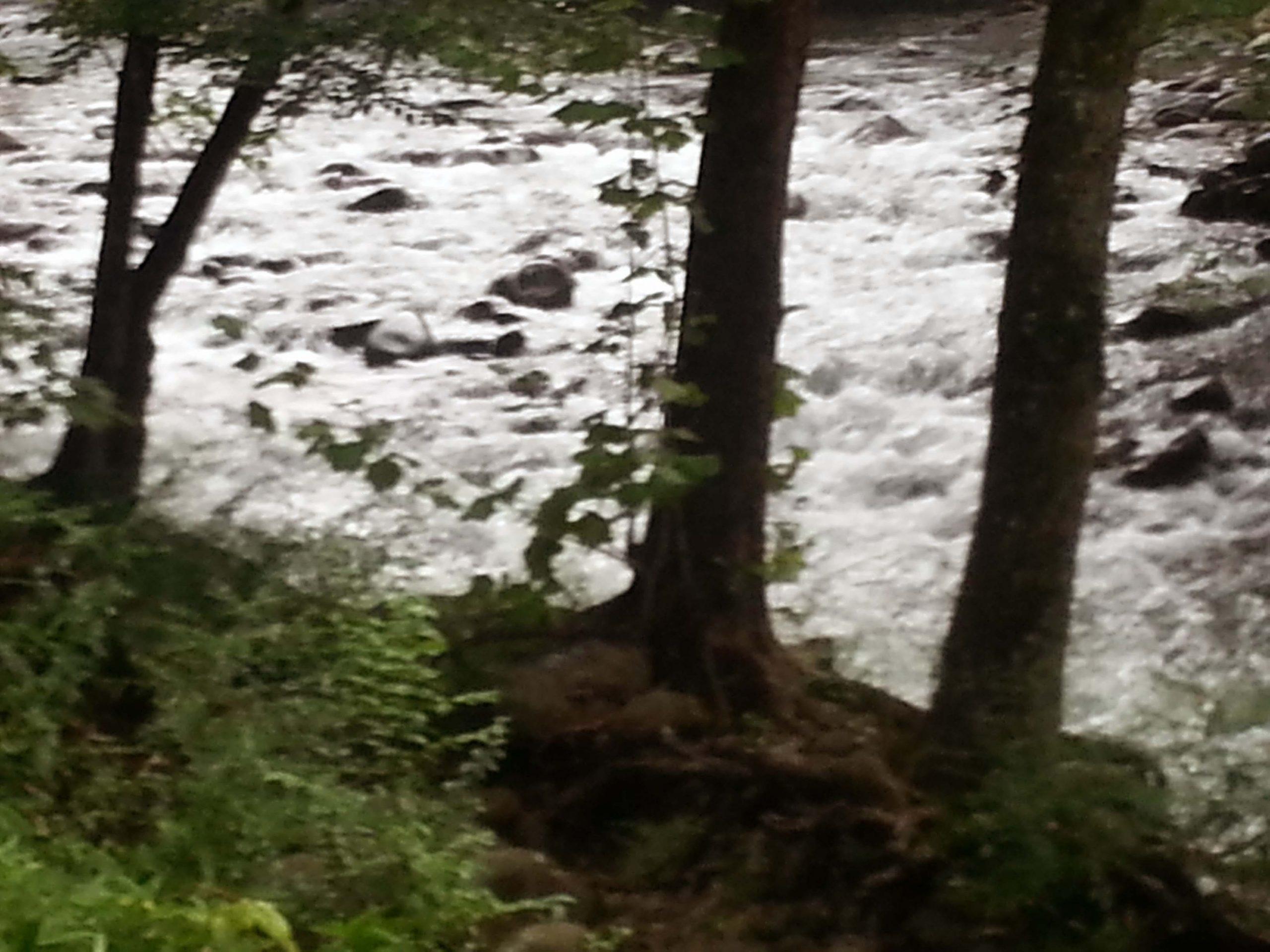 Sergeant York - and Old Homesteads - Value Transformation